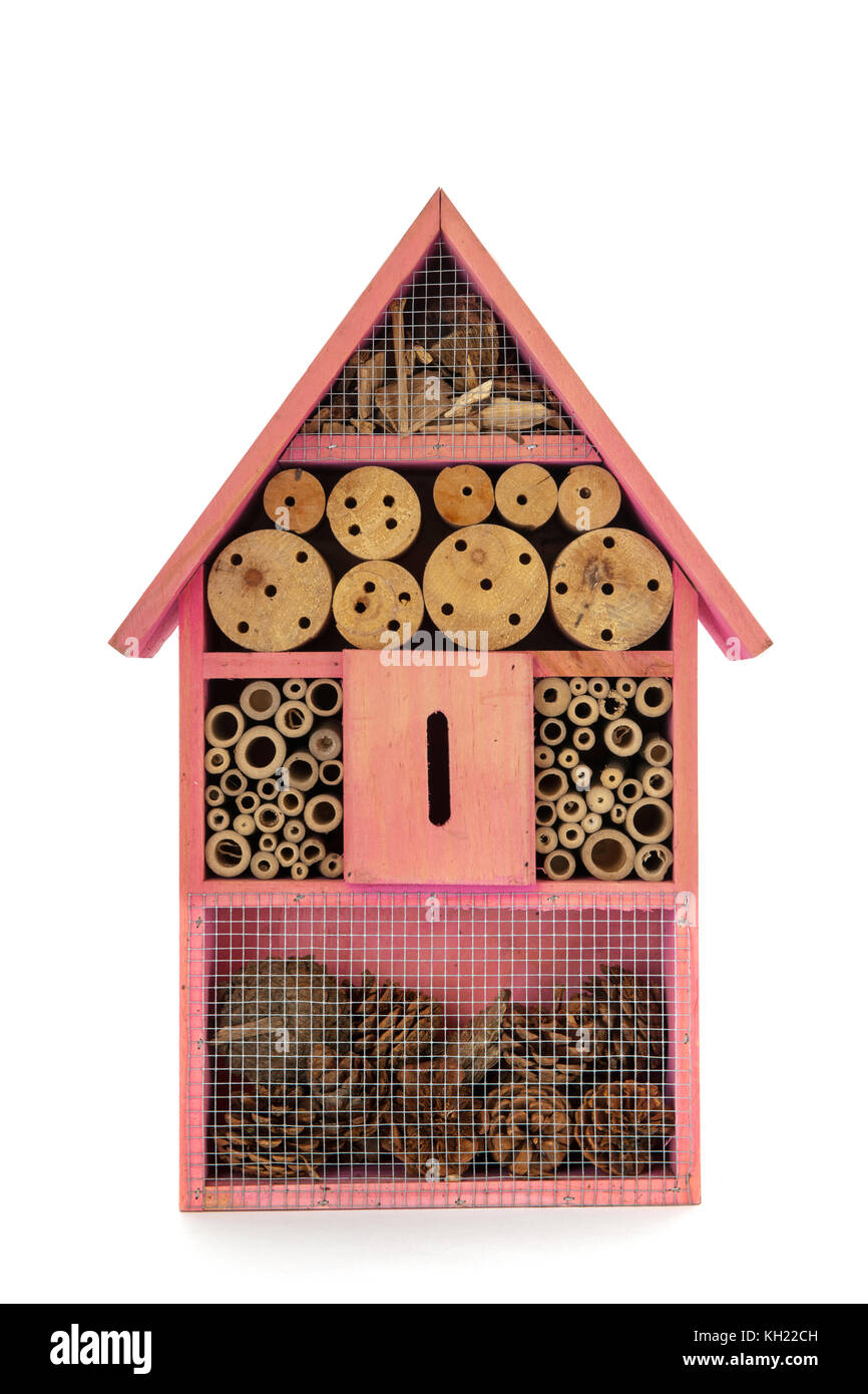 Insect hotel hi-res stock photography and images - Alamy