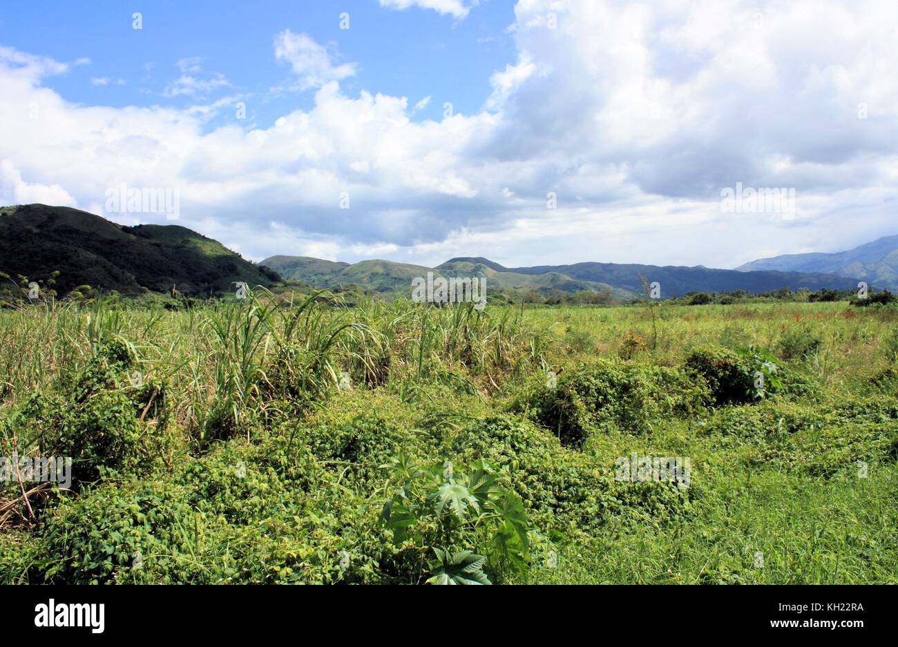 Countryside venezuela hi-res stock photography and images - Alamy