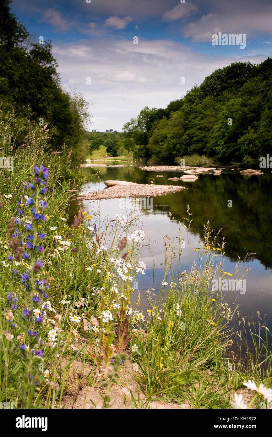 Low barnes hi-res stock photography and images - Alamy