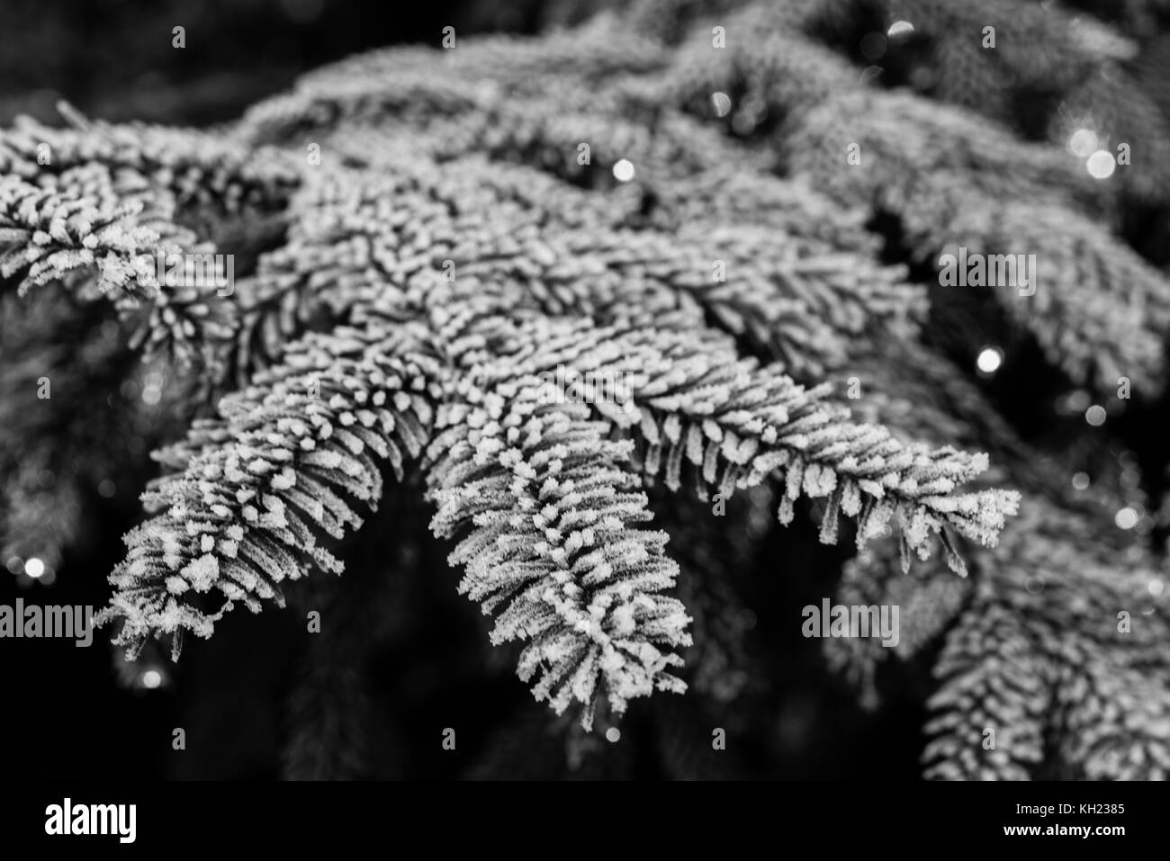 Weather and seasons Black and White Stock Photos & Images - Alamy