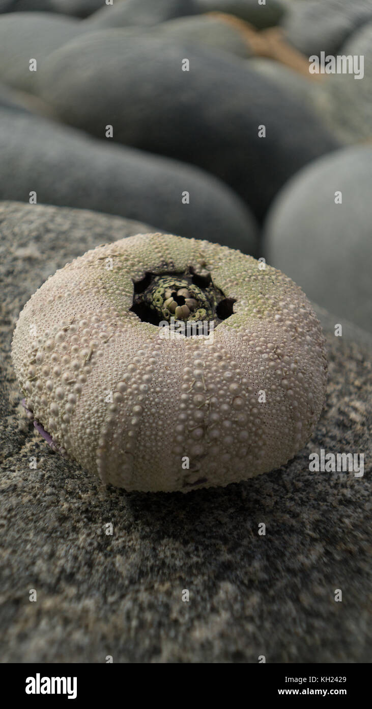 Wanderung e hi-res stock photography and images - Alamy