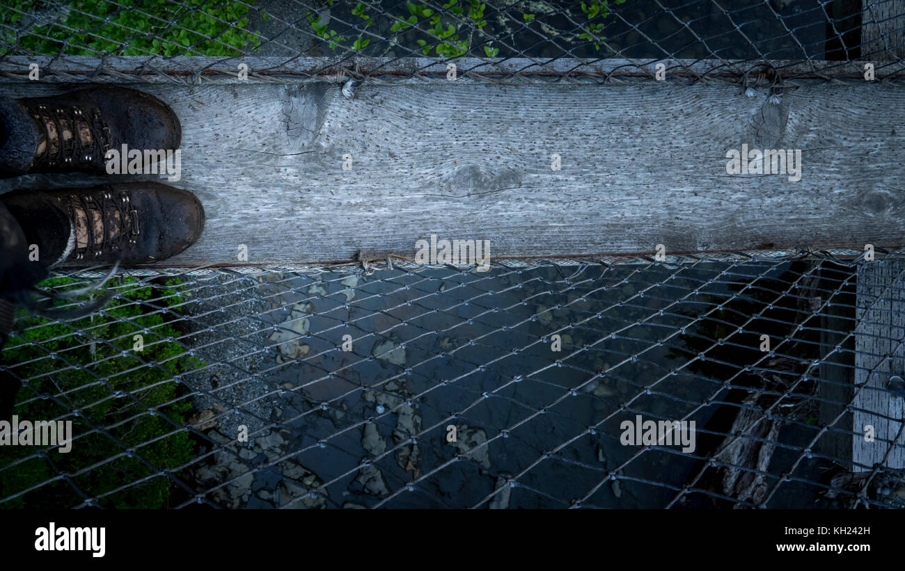 Logan Creek Suspension Bridge - a hiker's perspective, looking down the ...