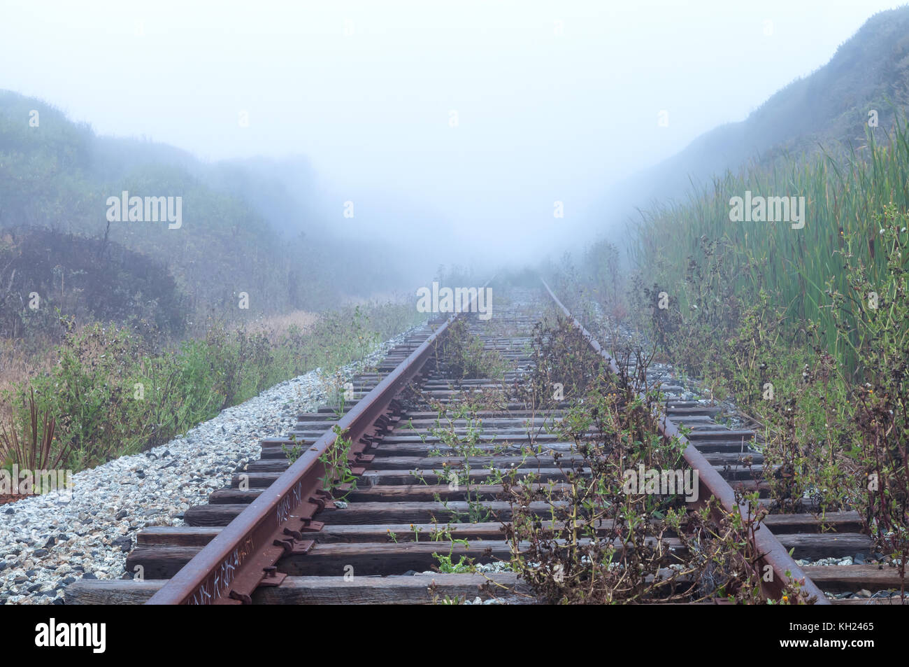 Thick fog cover an old railroad track and the landscape along the ...