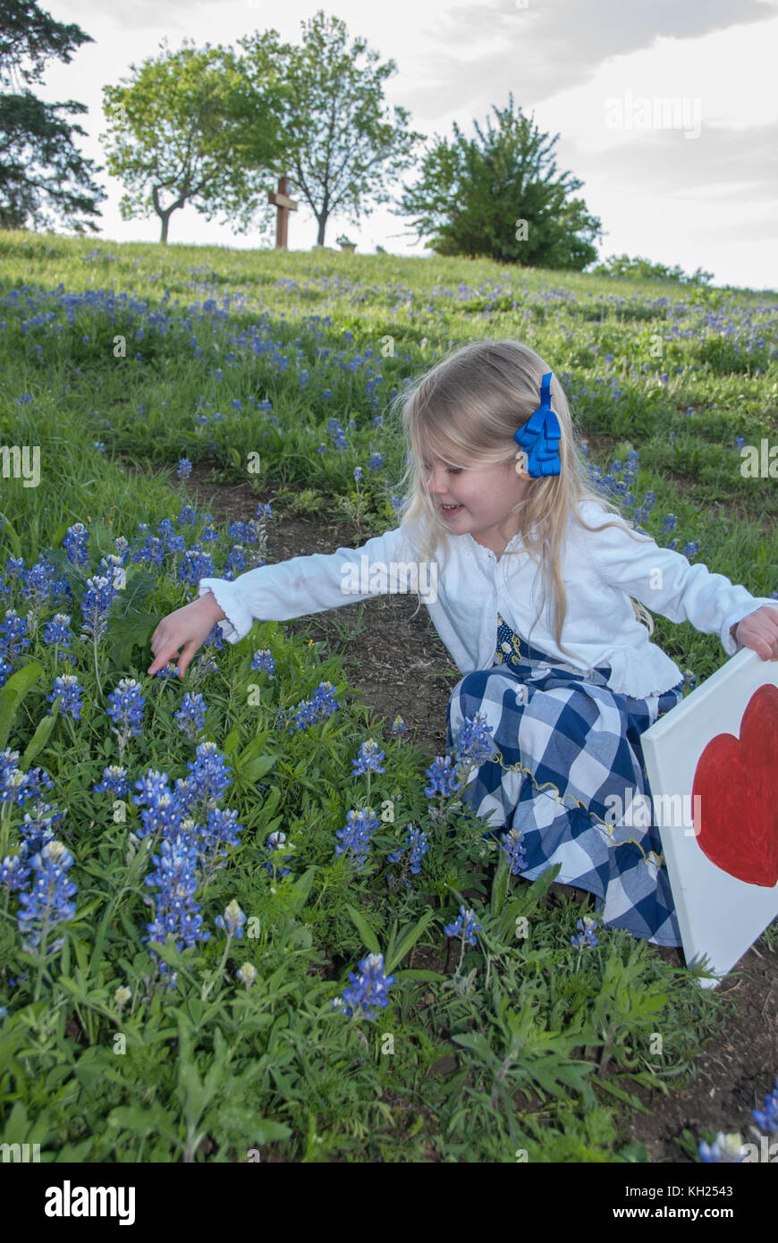My Favorite Flower Stock Photo - Alamy