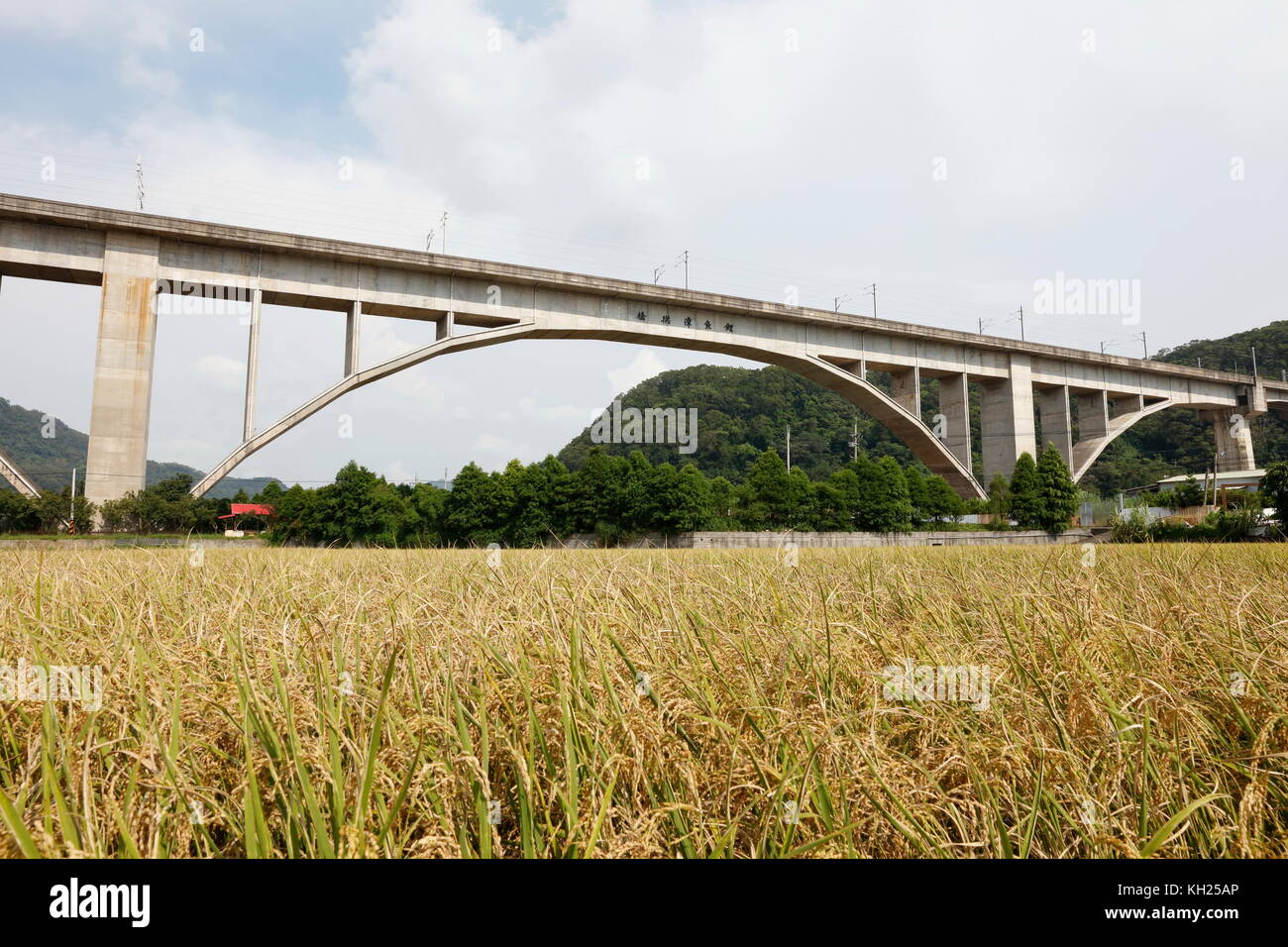 Liyu Lake bridge, a railway bridge located in central Taiwan Stock ...