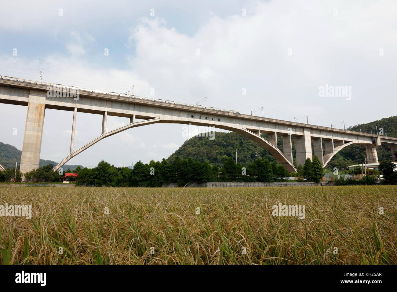 Liyu Lake bridge, a railway bridge located in central Taiwan Stock ...