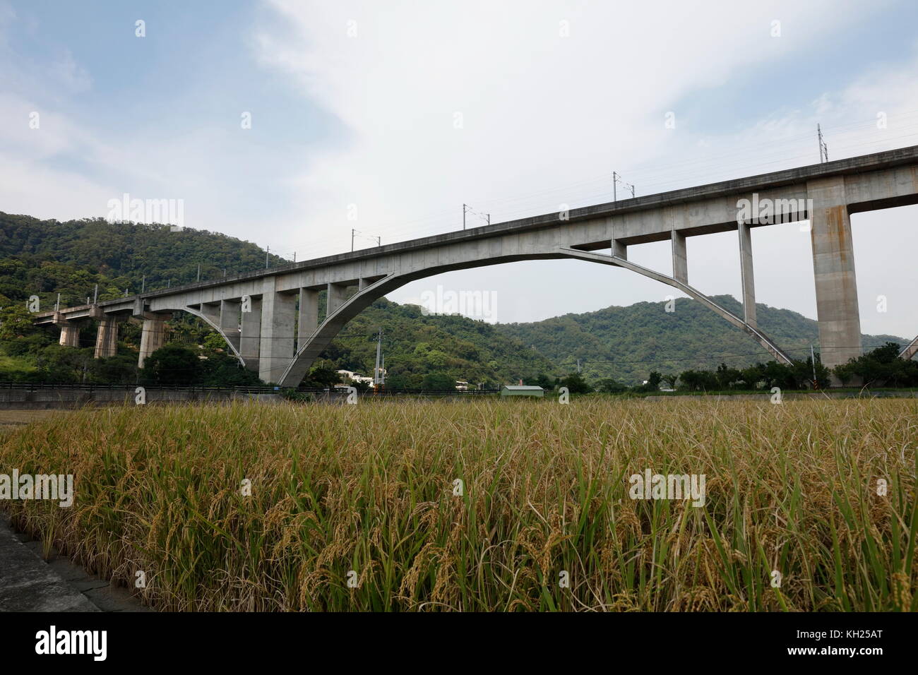 Liyu Lake bridge, a railway bridge located in central Taiwan Stock ...