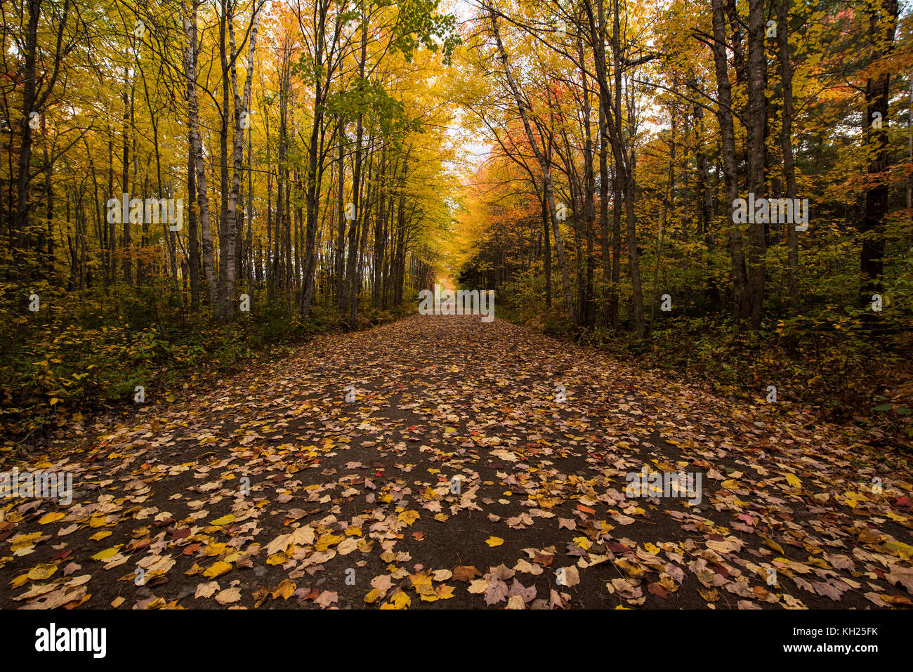 Irish Town Park New Brunswick Stock Photo - Alamy