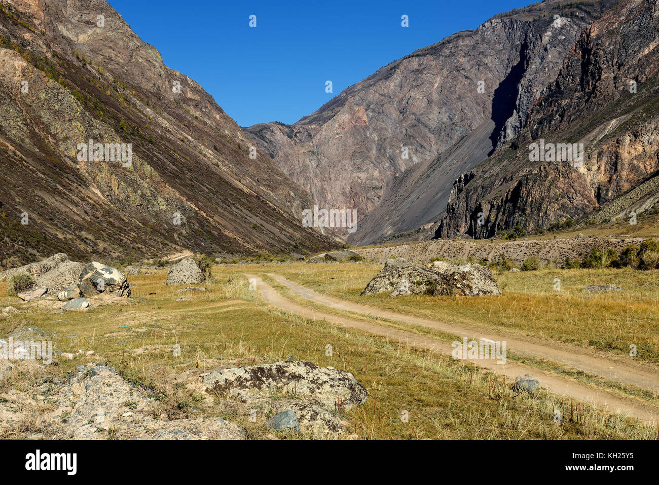 Scenic view on the gravel road with stones and vegetation on roadsides ...