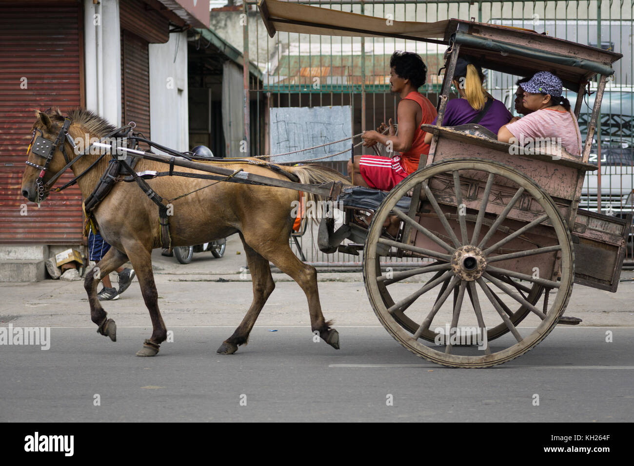 A horse drawn carriage known as a Kalesa being driven in downtown Cebu ...
