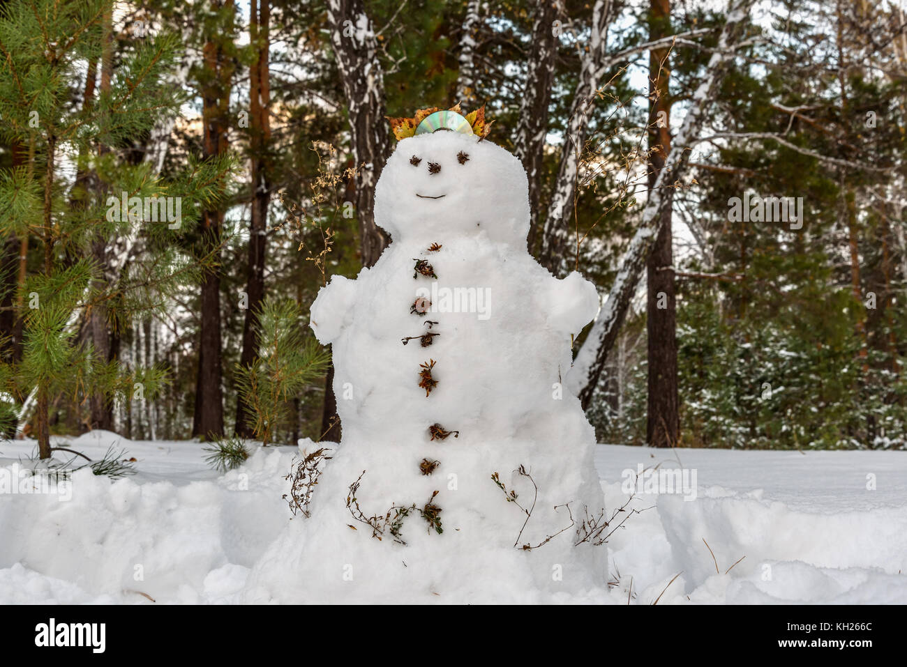 Cute snowman with autumn leaves, buttons and eyes of dried flowers in ...