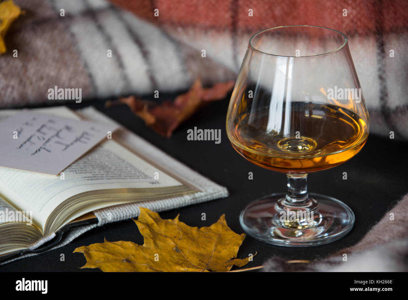 A glass of amber alcohol with an open book, dry leaves and warm blanket ...