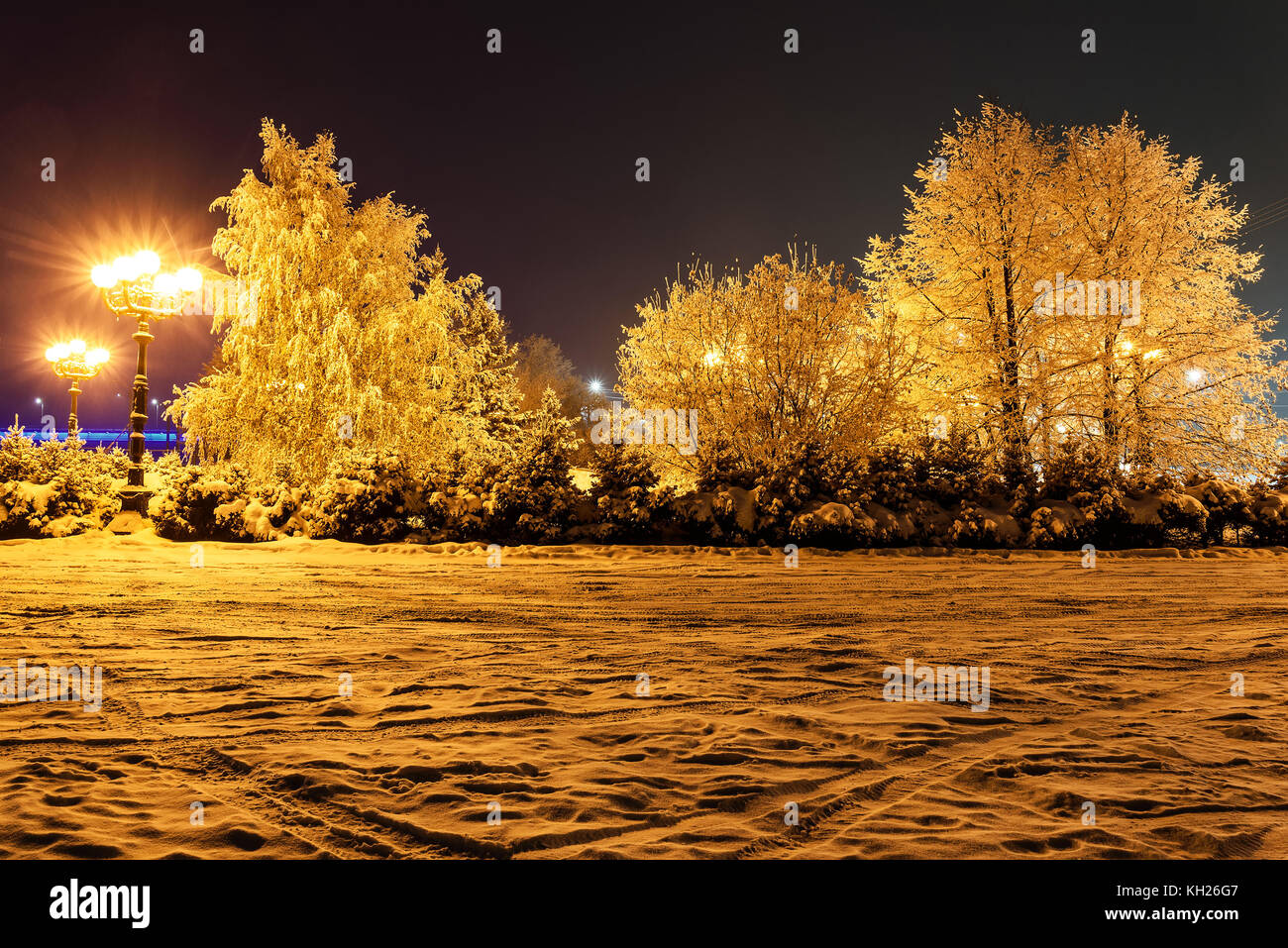 Scenic night winter landscape with trees in hoarfrost and snow and ...