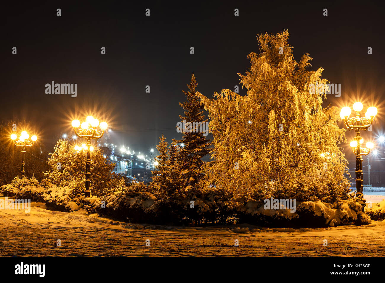 Scenic night winter landscape with trees in hoarfrost and snow and ...