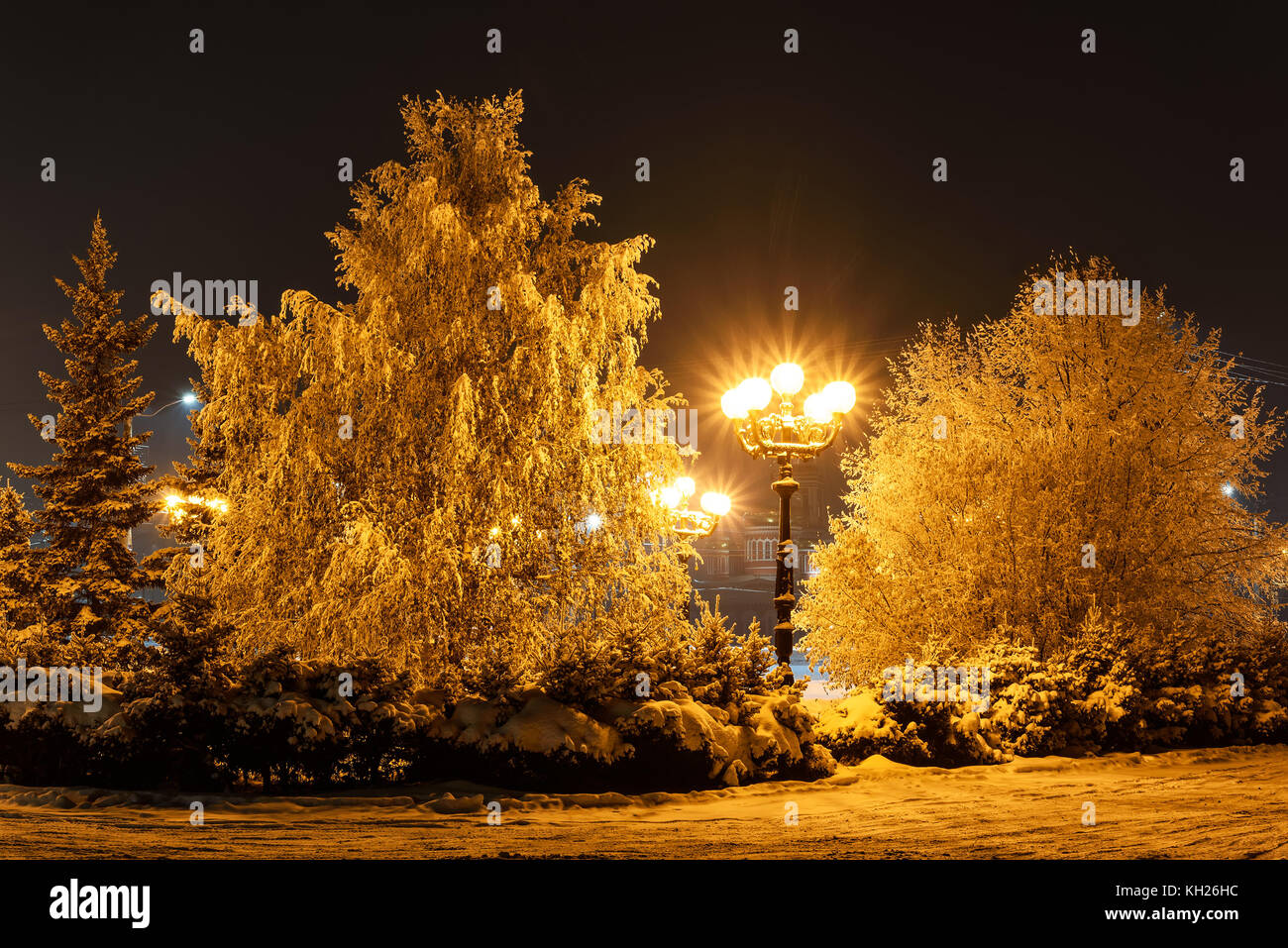 Scenic night winter landscape with trees in hoarfrost and snow and ...