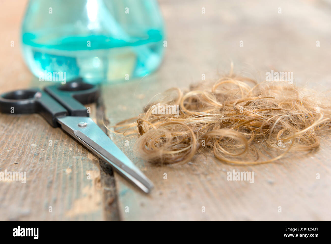Scissors cutting hair strand hi-res stock photography and images - Alamy