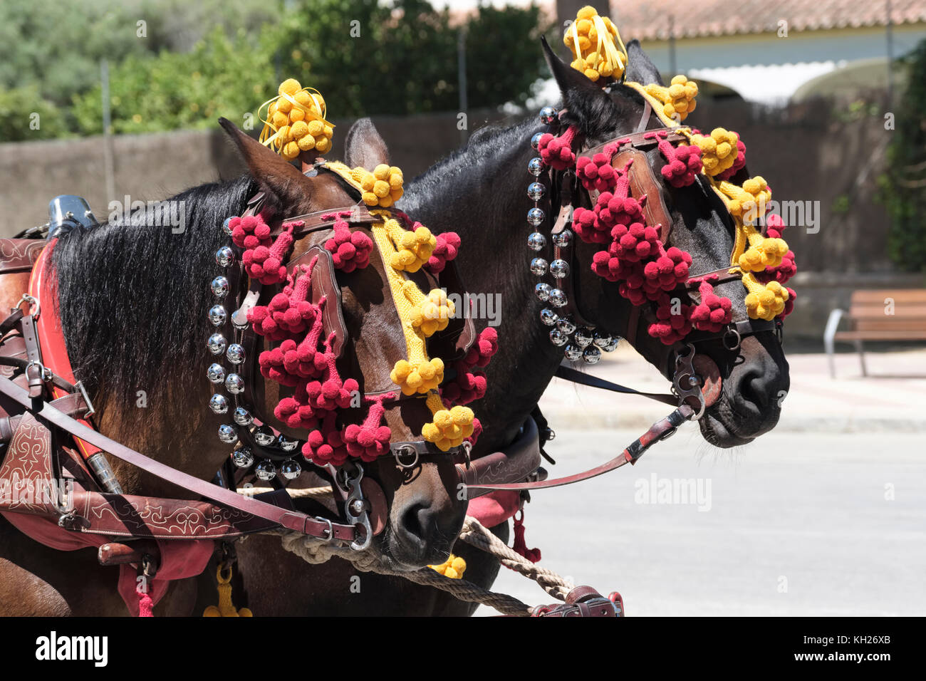 Decorated horses, Jerez de la Frontera, Feria de Caballo, May Horse ...
