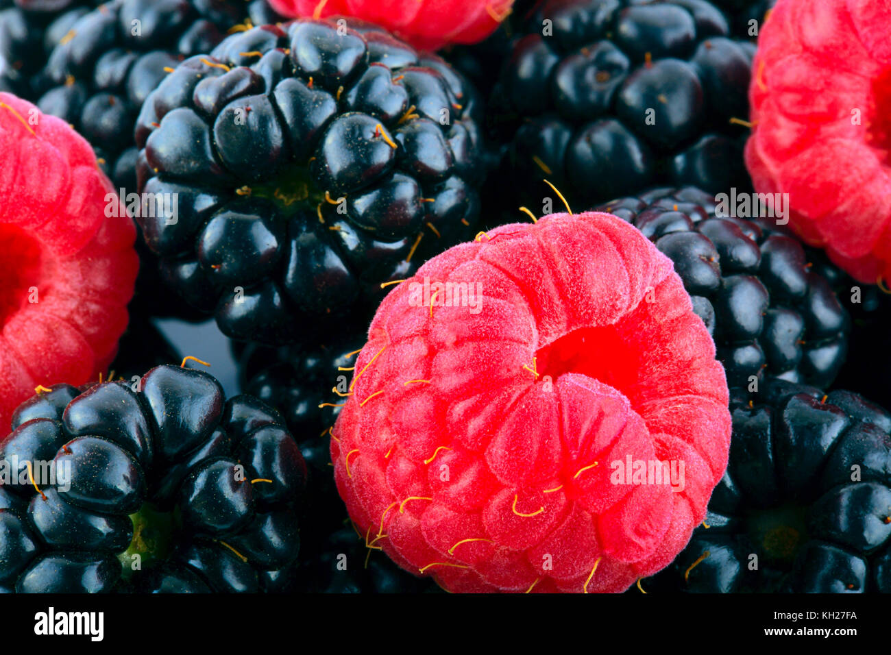 blueberry and rasberry background Stock Photo - Alamy