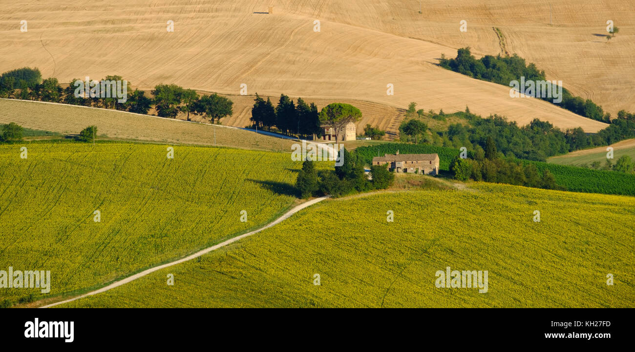 Rural landscape along the road from Filottrano to Appignano (Ancona ...