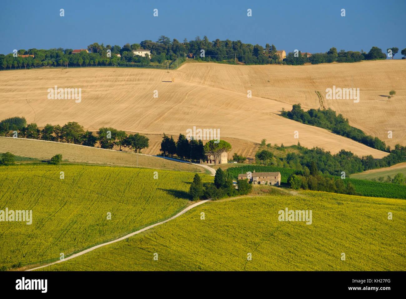 Rural landscape along the road from Filottrano to Appignano (Ancona ...