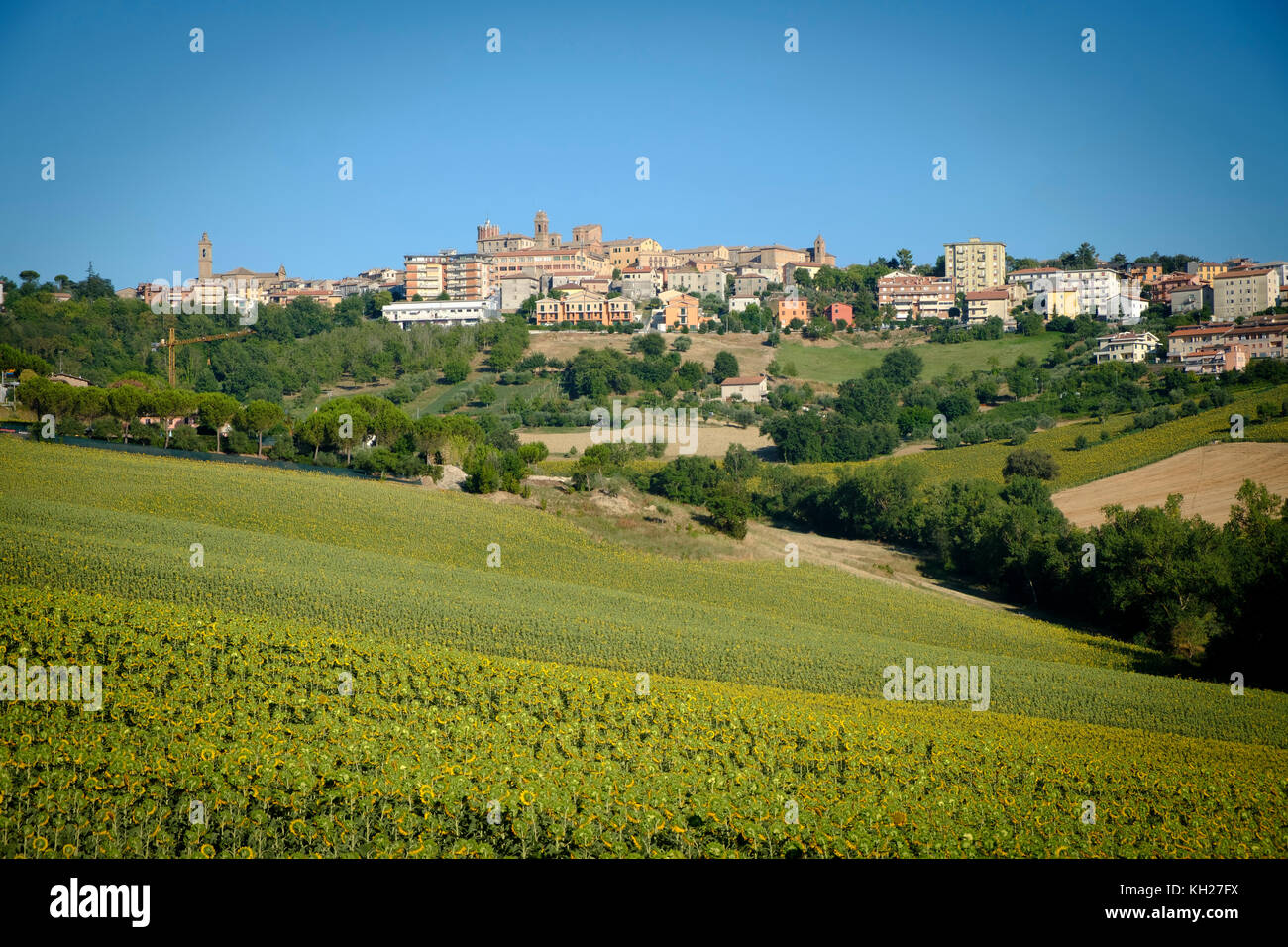 Rural landscape along the road from Jesi to Filottrano (Ancona, Marches ...
