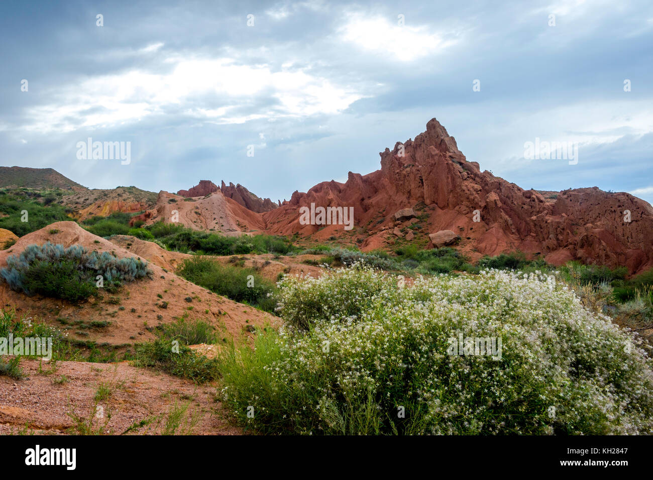 Colorful rock formations in Skazka aka Fairy tale canyon, Kyrgyzstan ...
