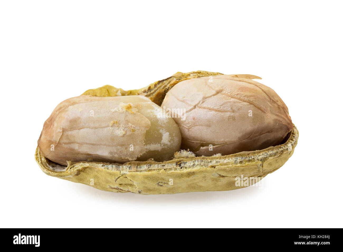 Inside of peanut isolated on white background (clipping path included ...