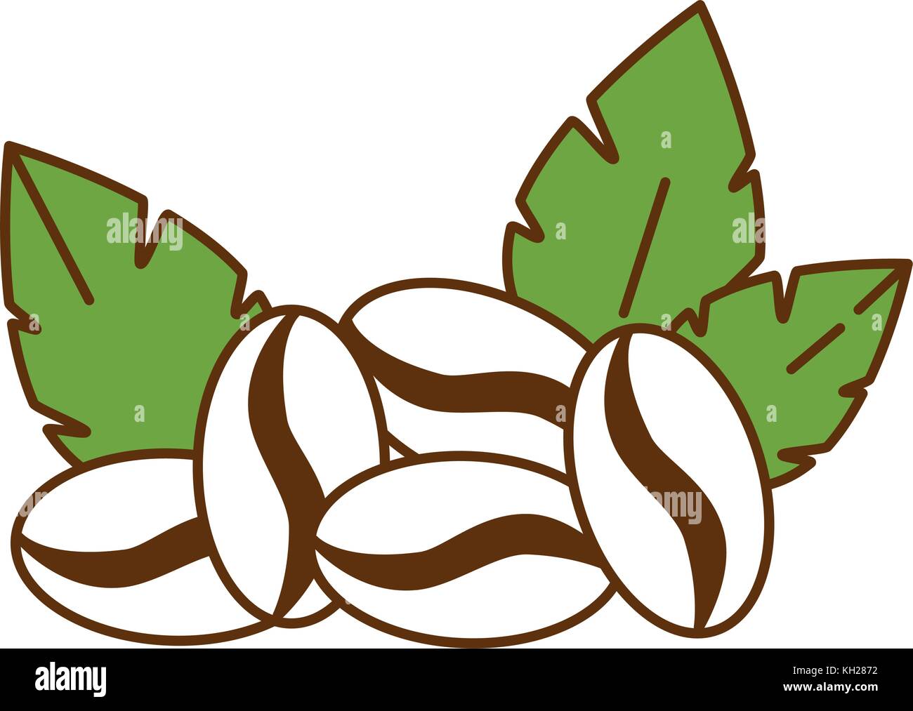 coffee seeds with leafs Stock Vector Image & Art - Alamy