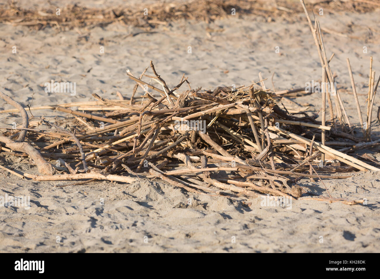 Hay bark hi-res stock photography and images - Alamy