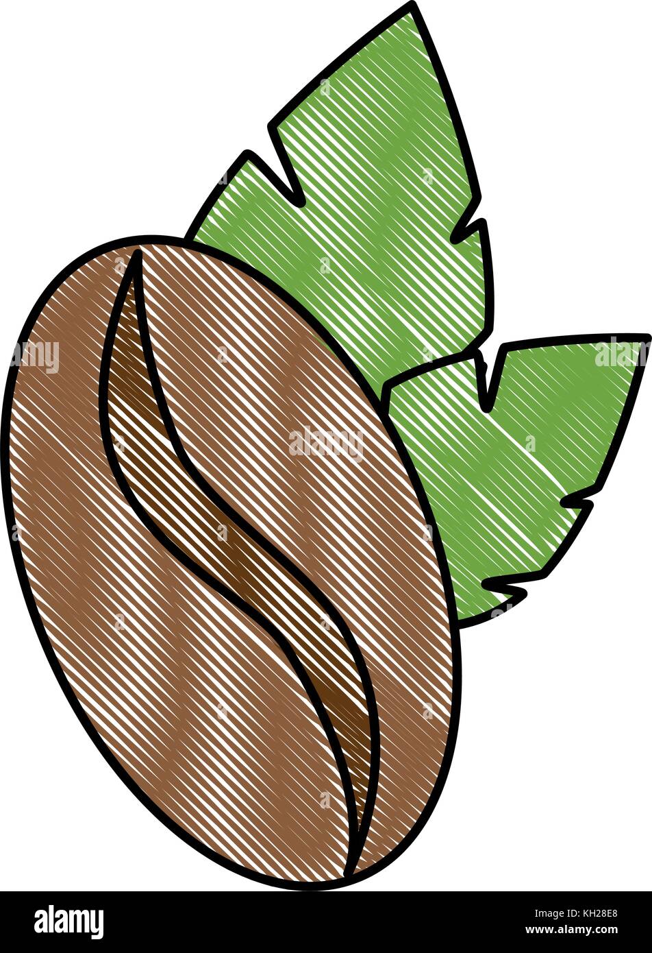 coffee seed with leafs Stock Vector Image & Art - Alamy
