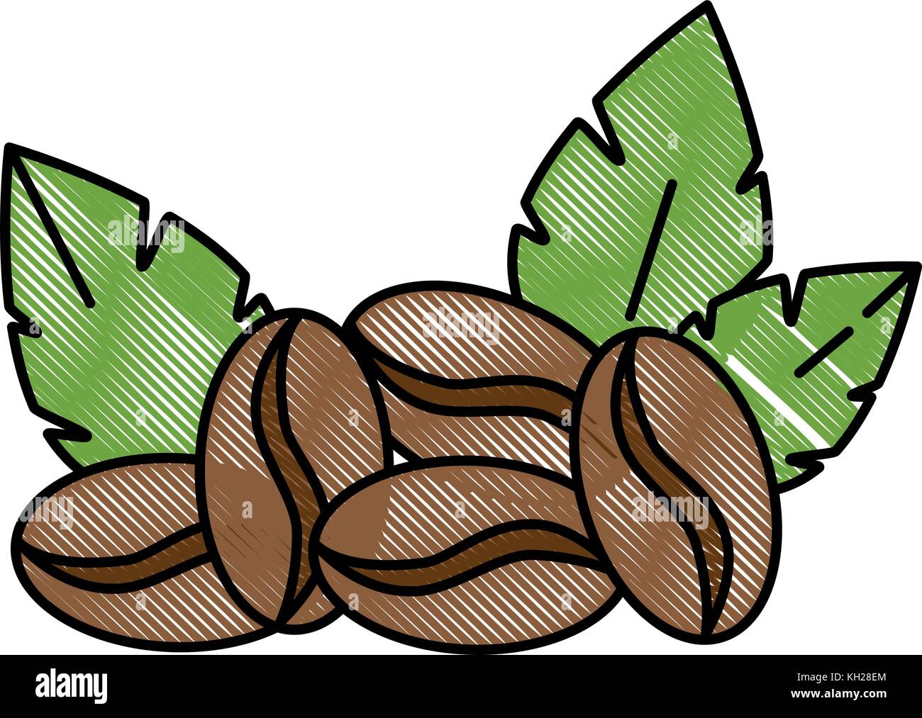 coffee seeds with leafs Stock Vector Image & Art - Alamy