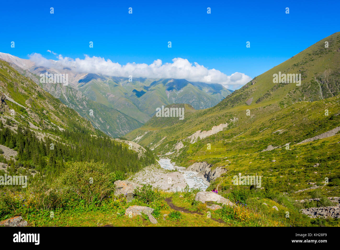Valley with river and forest in Ala Archa national park, Kyrgyzstan ...
