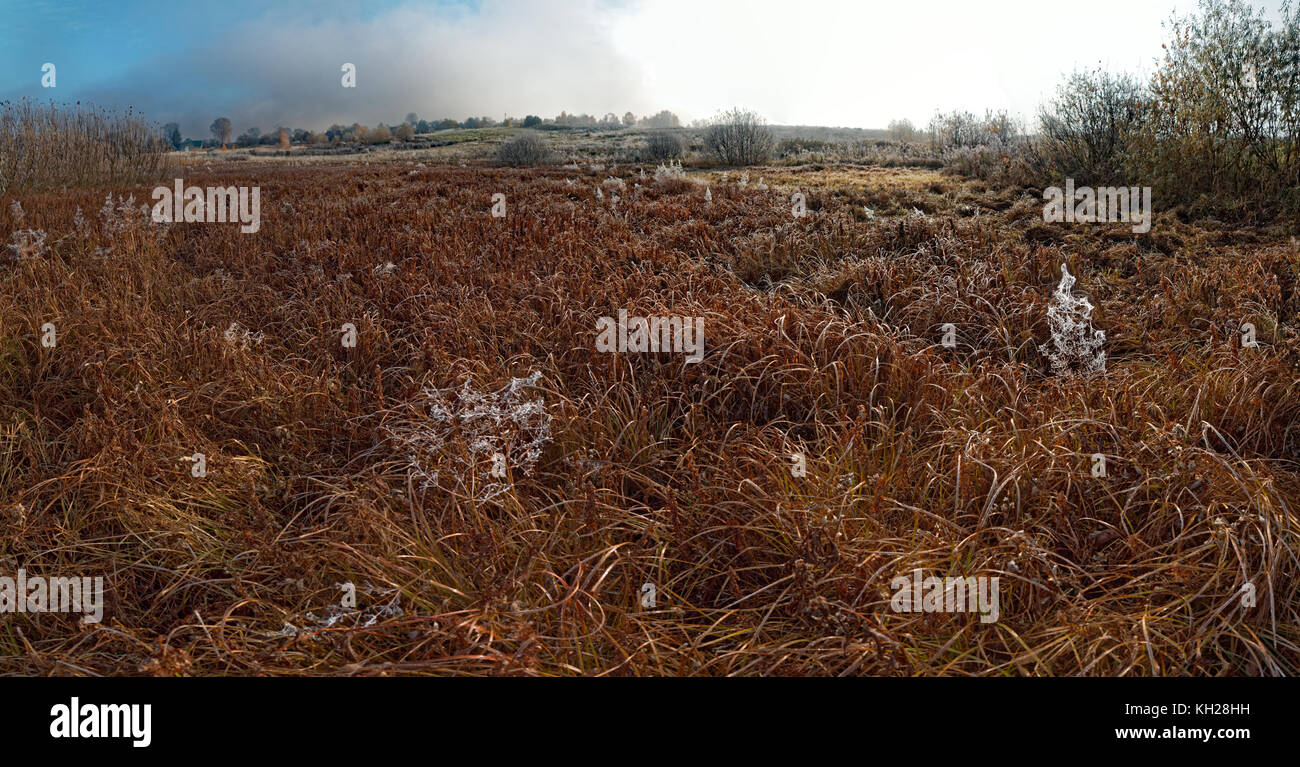 The road and the frozen fields.The first cold came. Nature is preparing ...