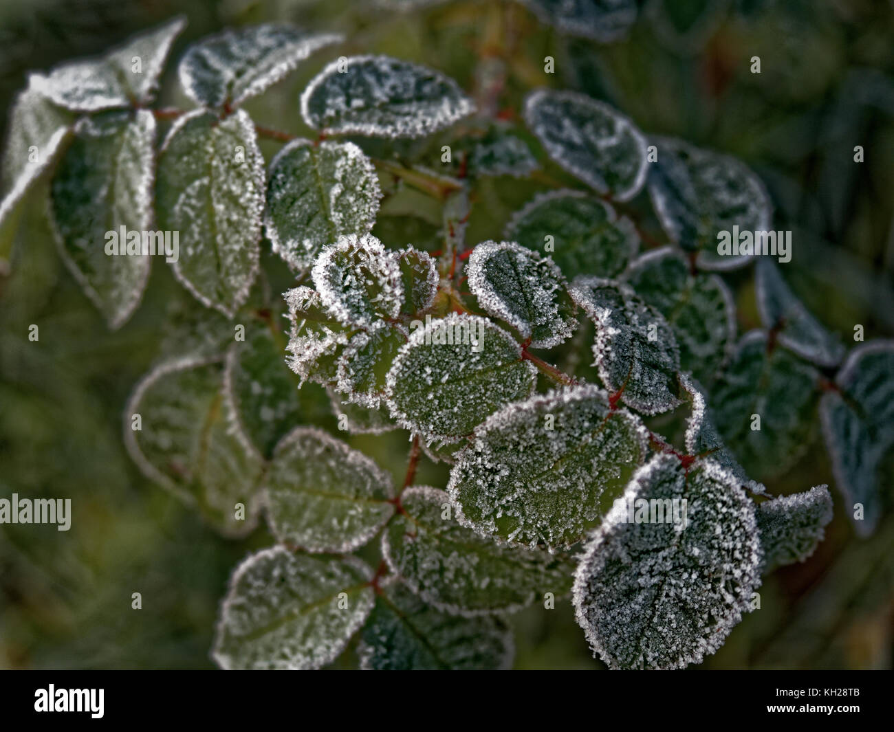Nature is everything hi-res stock photography and images - Alamy