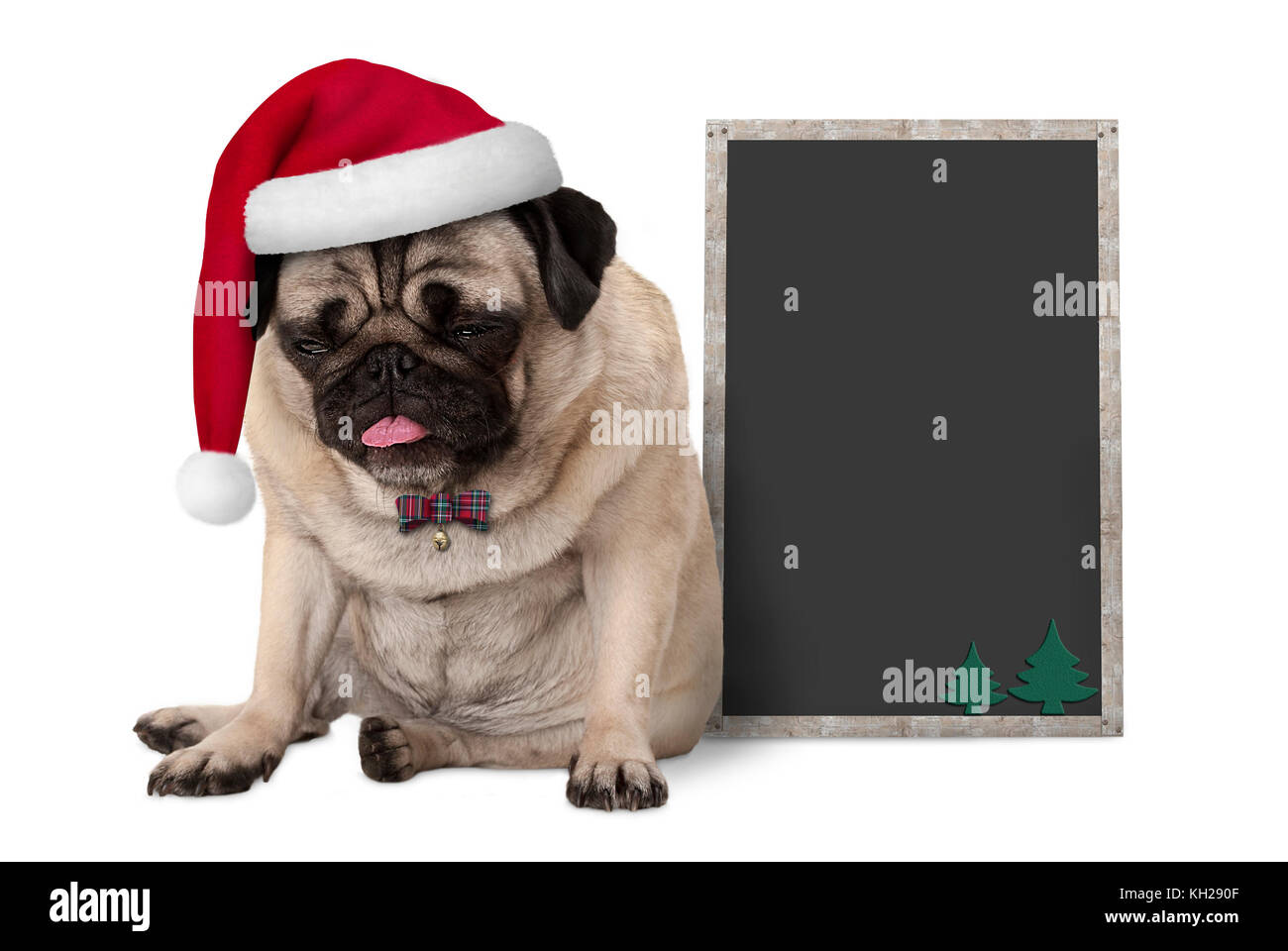 Grumpy dog sign hi-res stock photography and images - Alamy