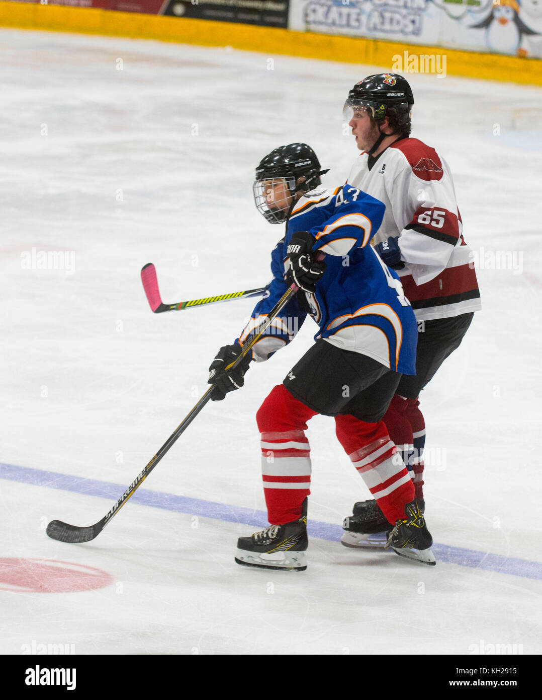 Coventry Panthers V Cardiff redhawks Stock Photo - Alamy