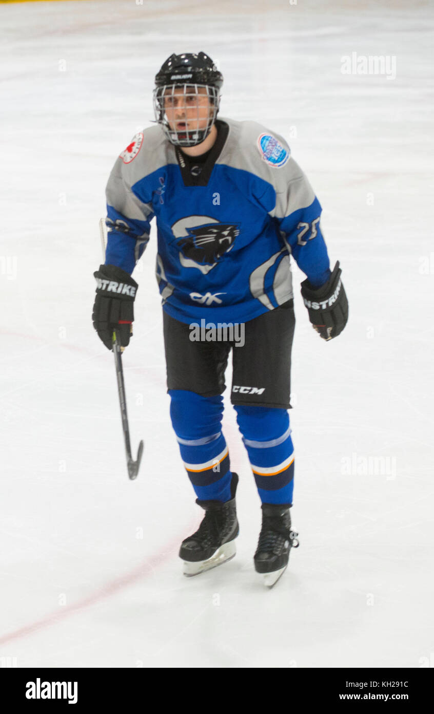 Coventry Panthers V Cardiff redhawks Stock Photo - Alamy