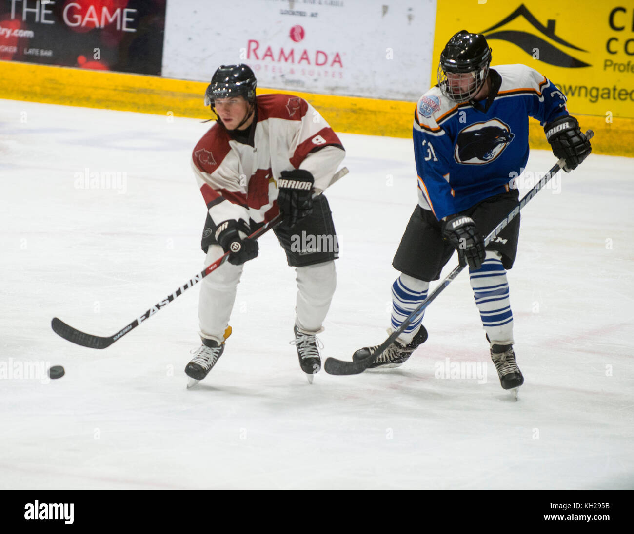 Coventry Panthers V Cardiff redhawks Stock Photo - Alamy