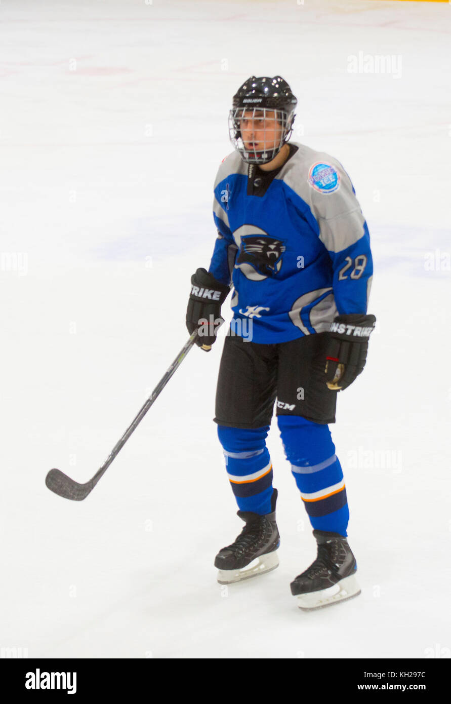 Coventry Panthers V Cardiff redhawks Stock Photo - Alamy