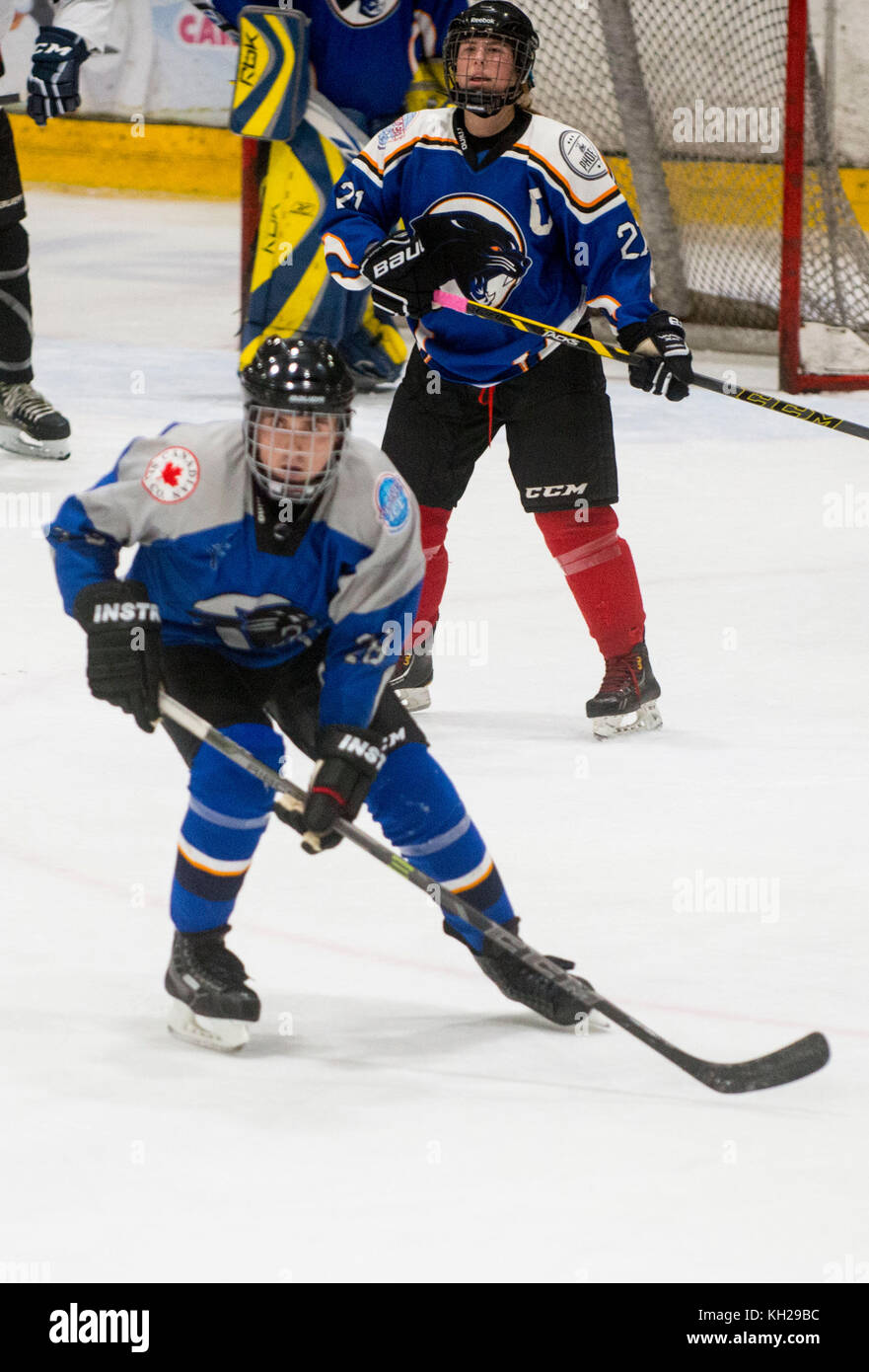 Coventry Panthers V Cardiff redhawks Stock Photo - Alamy
