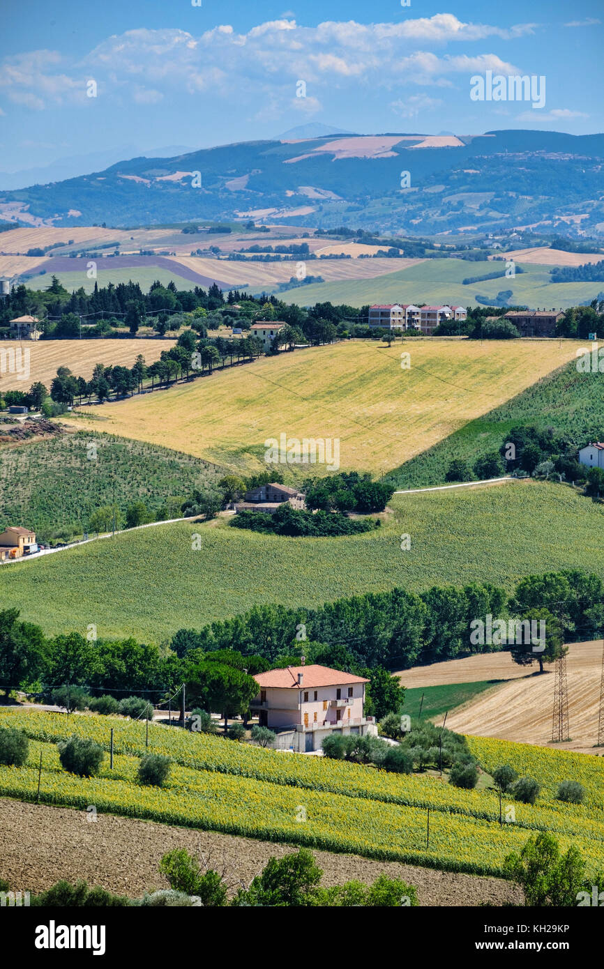 Rural landscape along the road from Ostra to Jesi (Ancona, Marches ...