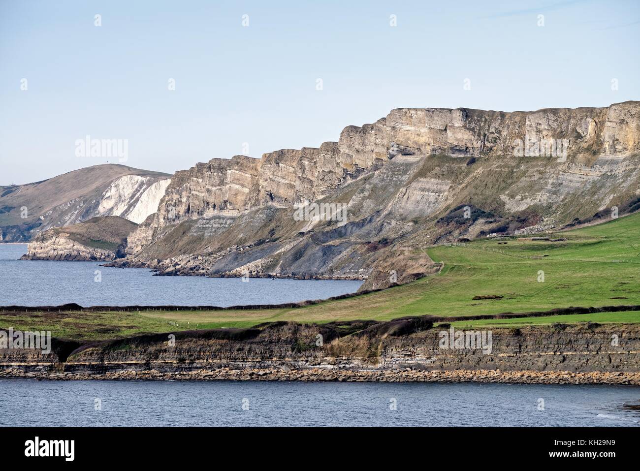 Gad cliffs on the Jurassic Coast Dorset England UK Stock Photo - Alamy