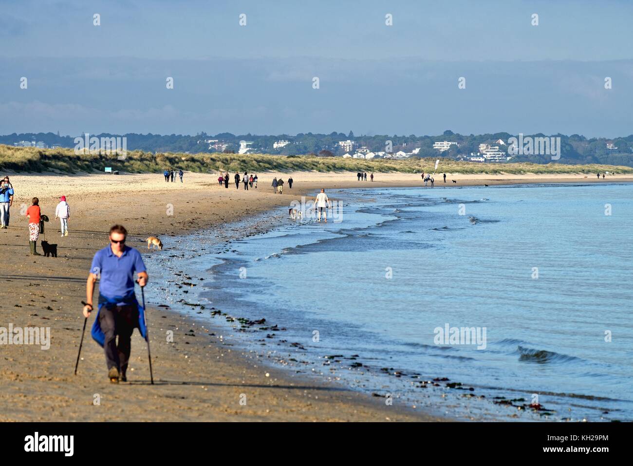 People walking on Studland Bay beach in autumn sun Dorset England uk ...