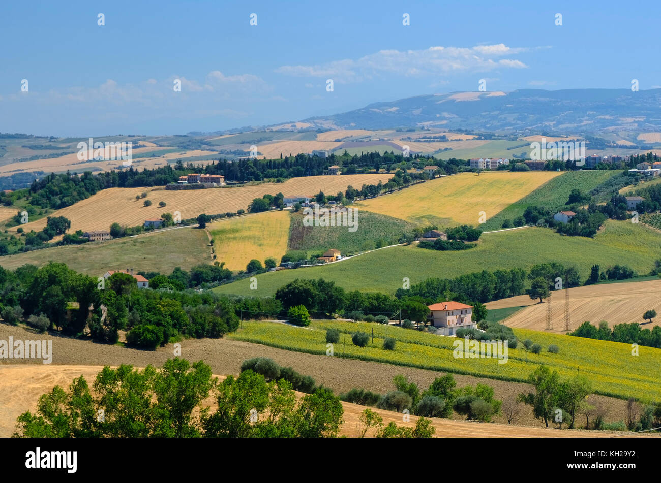 Rural landscape along the road from Ostra to Jesi (Ancona, Marches ...