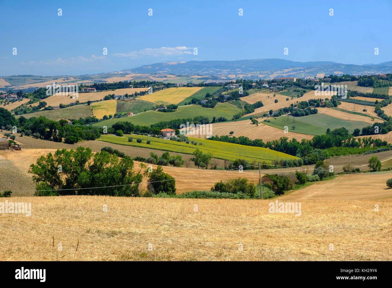Rural landscape along the road from Ostra to Jesi (Ancona, Marches ...