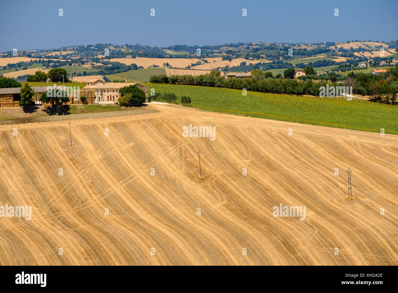 Rural landscape along the road from Ostra to Jesi (Ancona, Marches ...