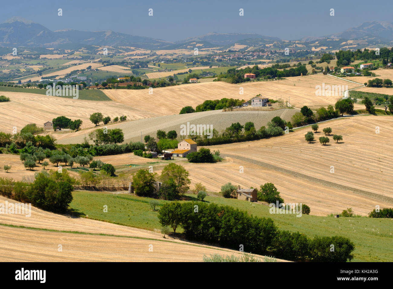 Rural landscape along the road from Ostra to Jesi (Ancona, Marches ...