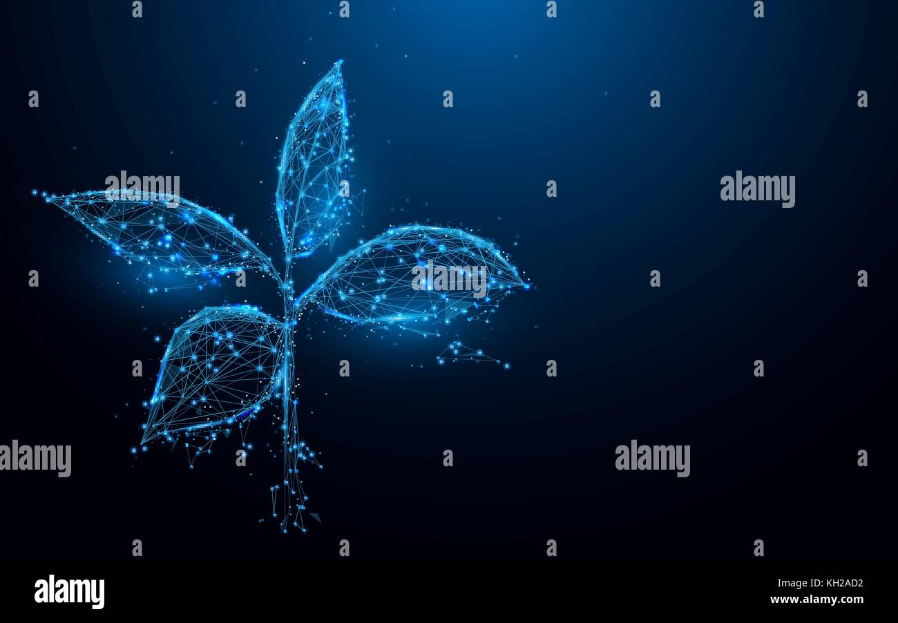 Plant from lines and triangles, point connecting network on blue ...