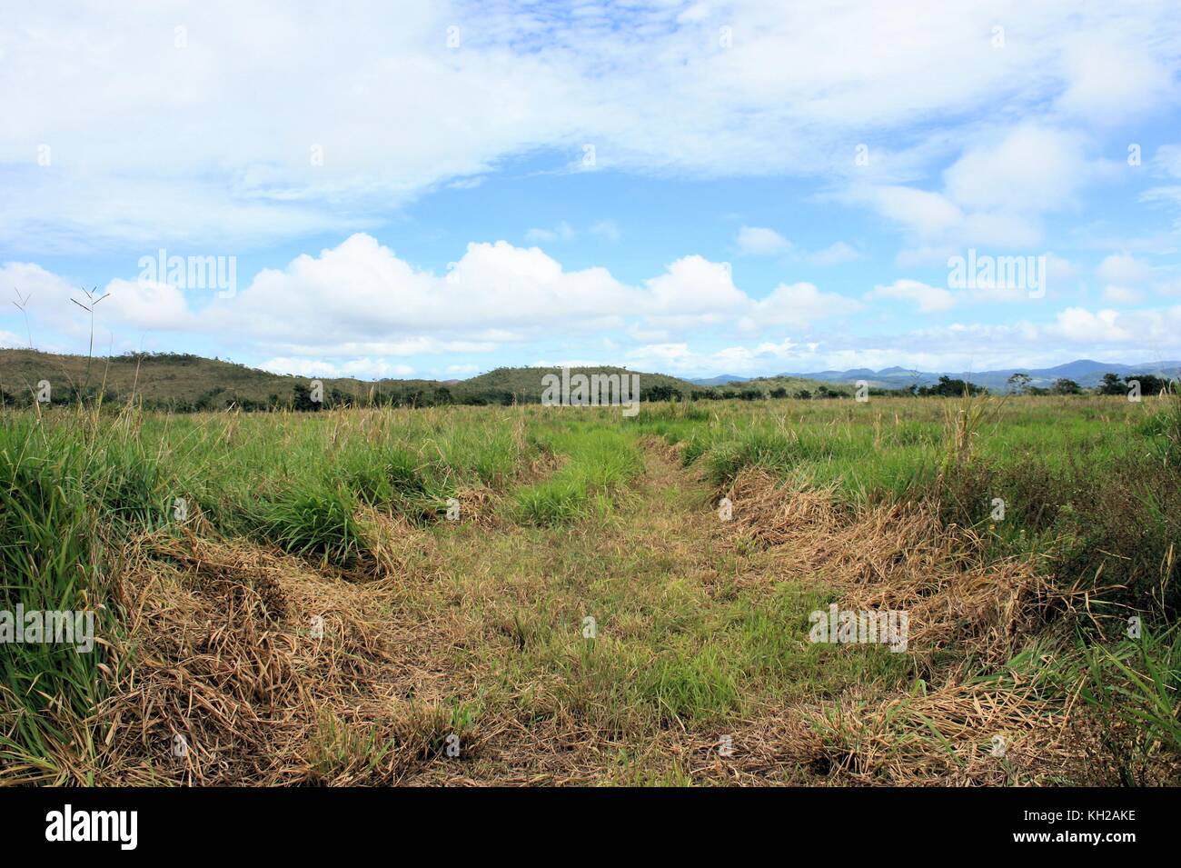 Countryside Venezuela Stock Photos & Countryside Venezuela Stock Images ...