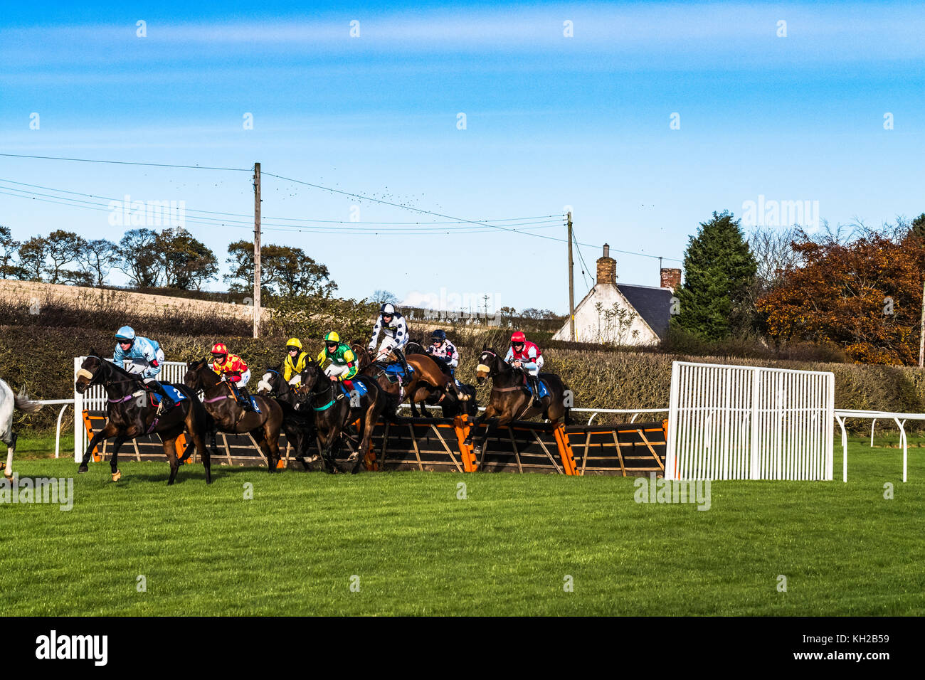 Kelso Racecourse High Resolution Stock Photography and Images - Alamy